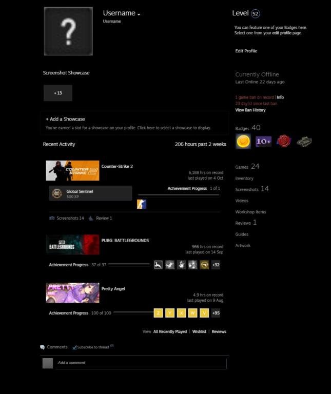 STEAM АККАУНТ 52LVL + NOLIMIT – acc4you